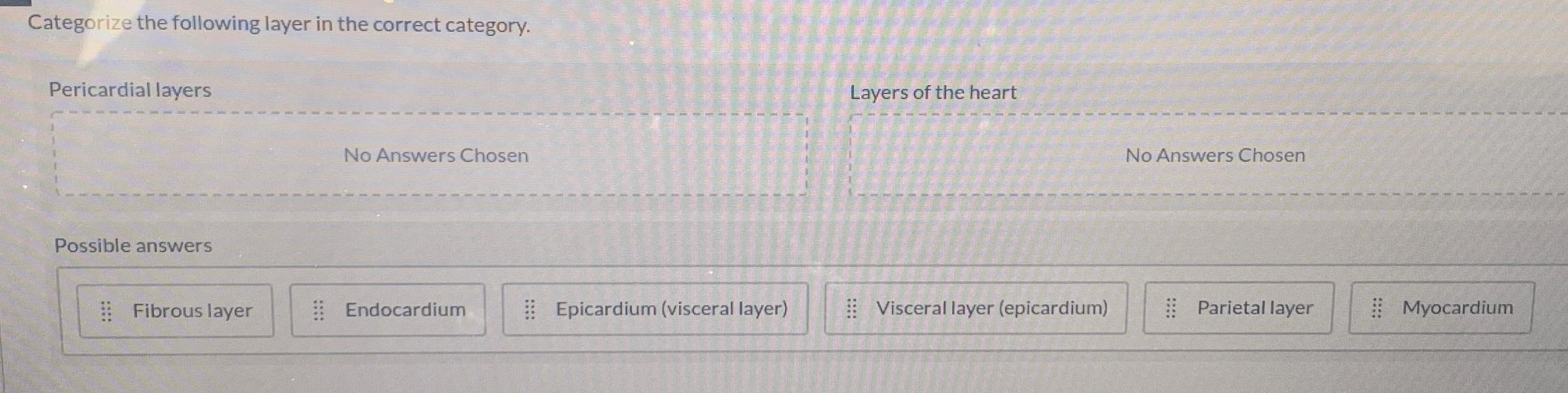 Solved Categorize the following layer in the correct | Chegg.com