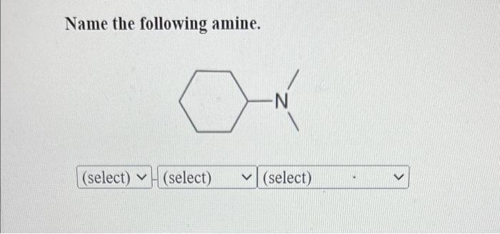 Solved Name the following amine. ON -N (select) V (select) | Chegg.com