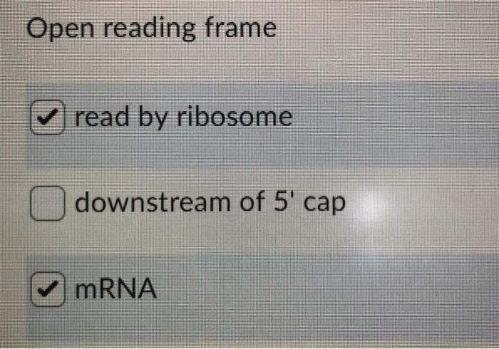 Solved Open reading frame read by ribosome downstream of 5' | Chegg.com