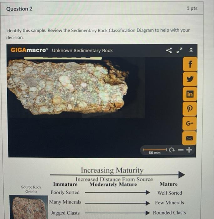 Solved Question 1 1 pts Describe the maturity of the | Chegg.com