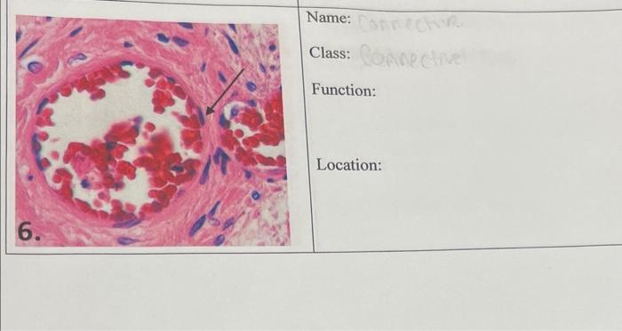 Solved Name: Class: Function: Location: | Chegg.com