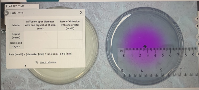 ELAPSED TIME Lab Data Х Media Diffusion spot diameter | Chegg.com