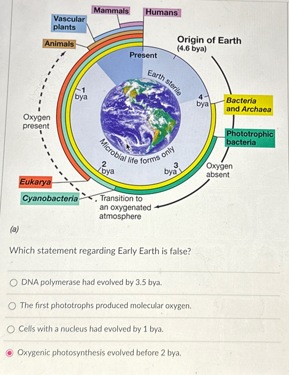 Solved (a)Which statement regarding Early Earth is false?DNA | Chegg.com