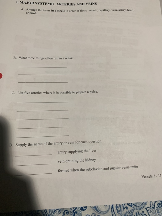 Solved 1. MAJOR SYSTEMIC ARTERIES AND VEINS A. Arrange the | Chegg.com