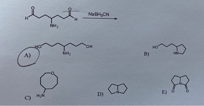Solved Na BH3CN NH2 он HO NH2 ) HN A B) E) 0 0 C) HN | Chegg.com