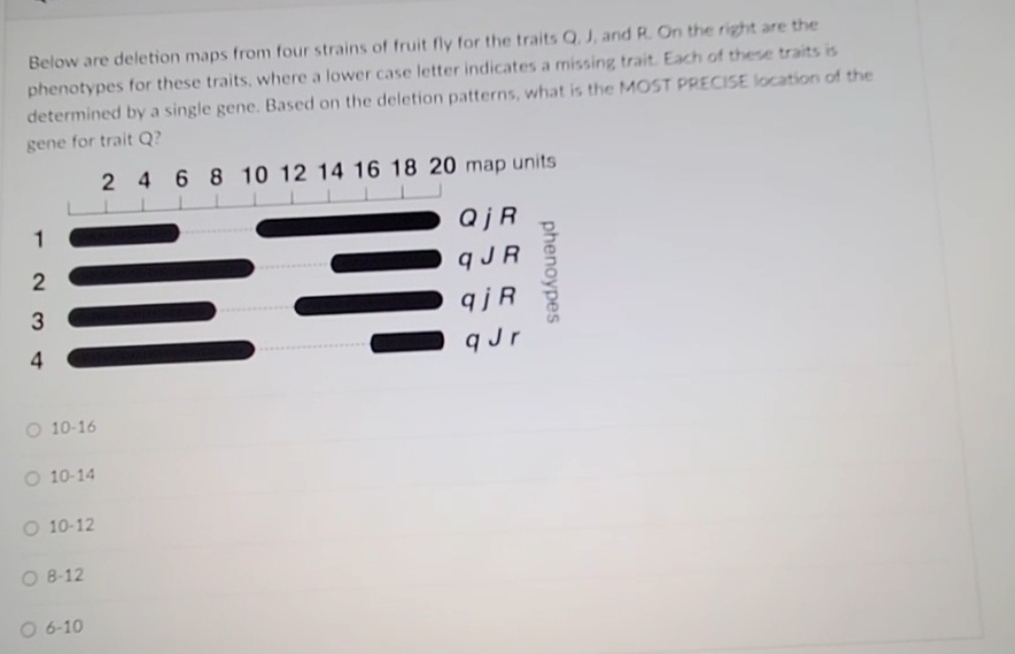 Solved Below are deletion maps from four strains of fruit | Chegg.com