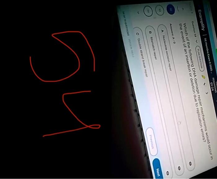 Which of the following DNA damage repair mechanisms | Chegg.com