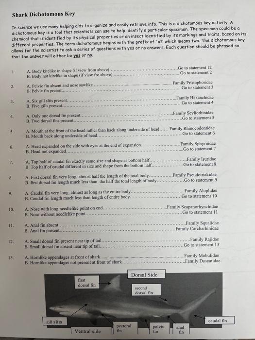 Solved Shark Dichotomous Key In science we use many helping | Chegg.com