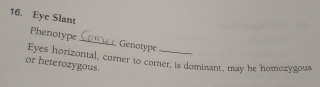 Solved Eye SlantPhenotype Serioc Genotype q, ﻿Eyes | Chegg.com