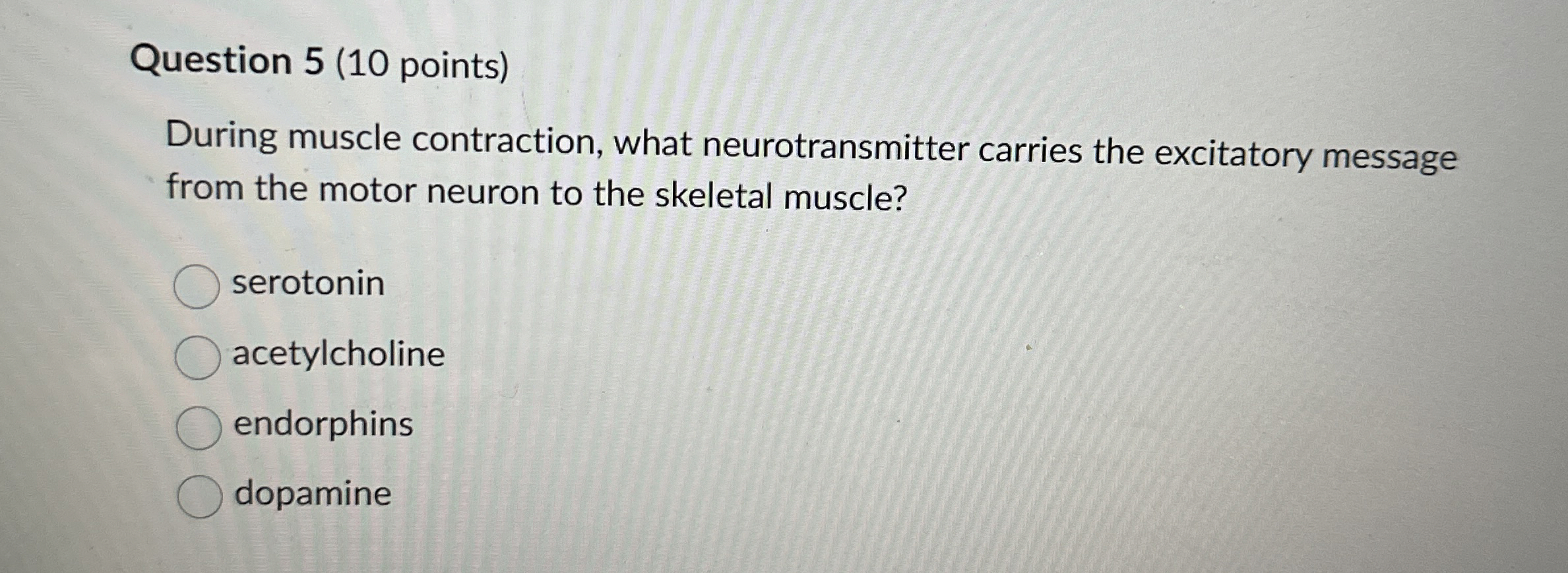 Solved Question 5 (10 ﻿points)During muscle contraction, | Chegg.com