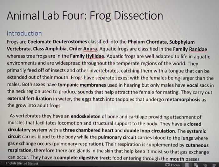 Solved Animal Lab Four: Frog Dissection Introduction Frogs | Chegg.com