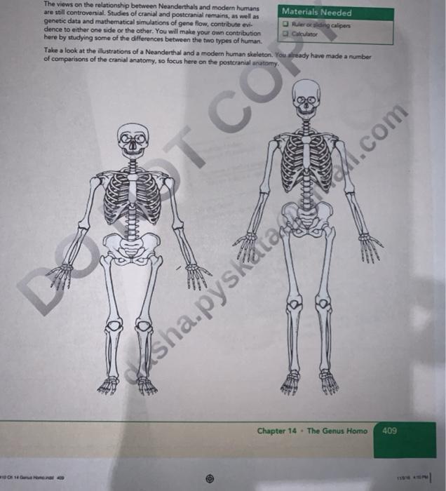 1 Dec be the shape of each of the anatomical regions | Chegg.com