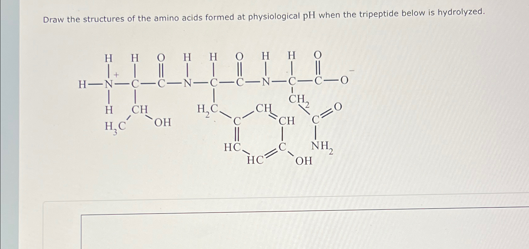 Solved Draw the structures of the amino acids formed at | Chegg.com