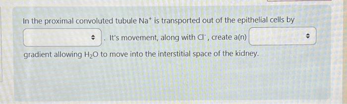 Solved In the proximal convoluted tubule Na+is transported | Chegg.com