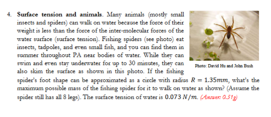 Solved Surface tension and animals. Many animals (mostly | Chegg.com