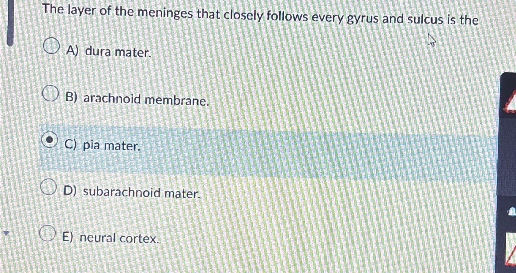 Solved The layer of the meninges that closely follows every | Chegg.com
