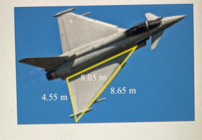 Solved A particular plane has a canard-delta wing design | Chegg.com