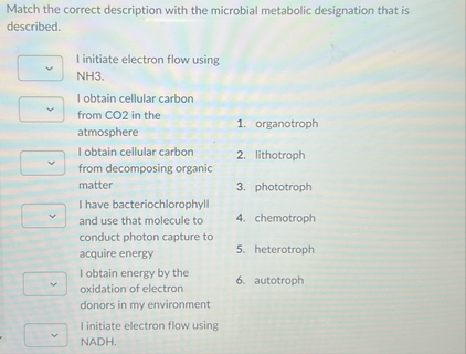 Solved Match the correct description with the microbial | Chegg.com