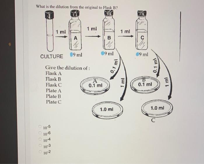 Solved What is the dilution from the original to Flask B? 1 | Chegg.com