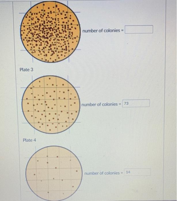 Solved Figure 3. Plate 1 number of colonies = TMTC Plate 2 | Chegg.com