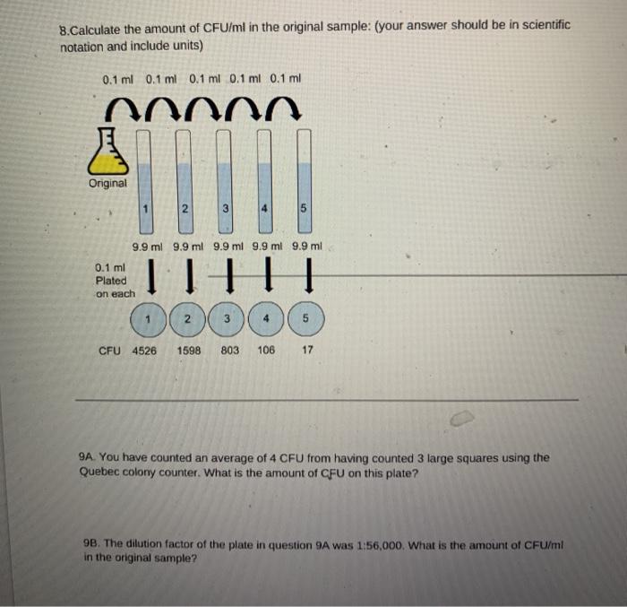 Solved 8.Calculate the amount of CFU/ml in the original | Chegg.com