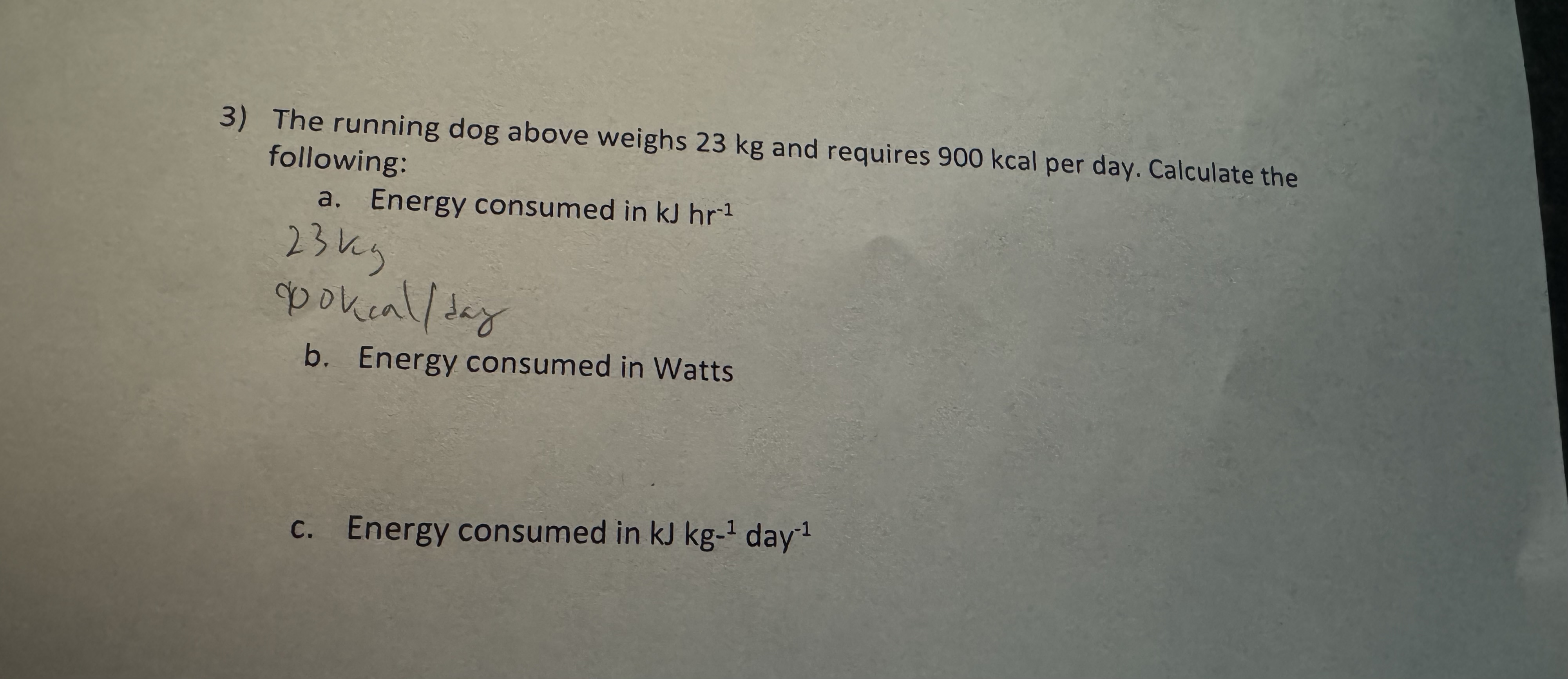 Solved The running dog above weighs 23kg ﻿and requires | Chegg.com