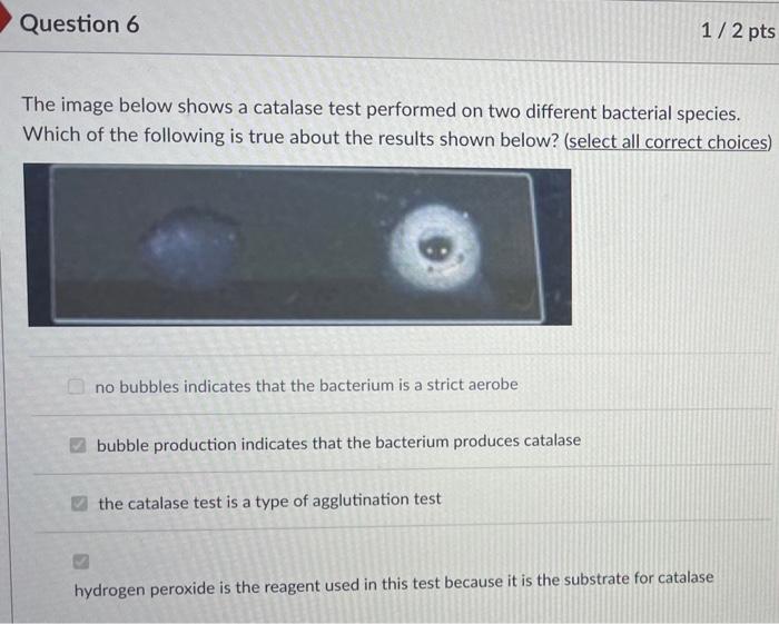 Solved Question 6 1/2 pts The image below shows a catalase | Chegg.com