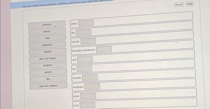 Solved Reset Help Can you match these prefixes, suffixes, | Chegg.com