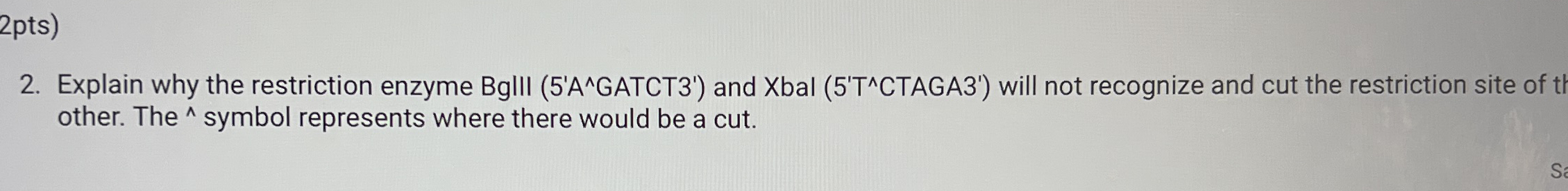 Solved Explain why the restriction enzyme BgIII | Chegg.com