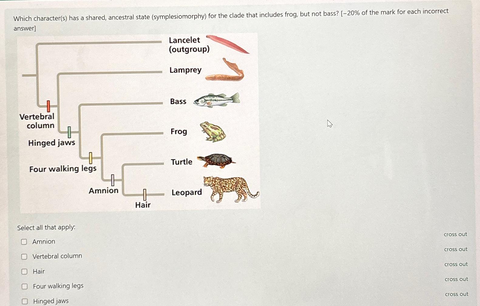 Solved Which character(s) ﻿has a shared, ancestral state | Chegg.com