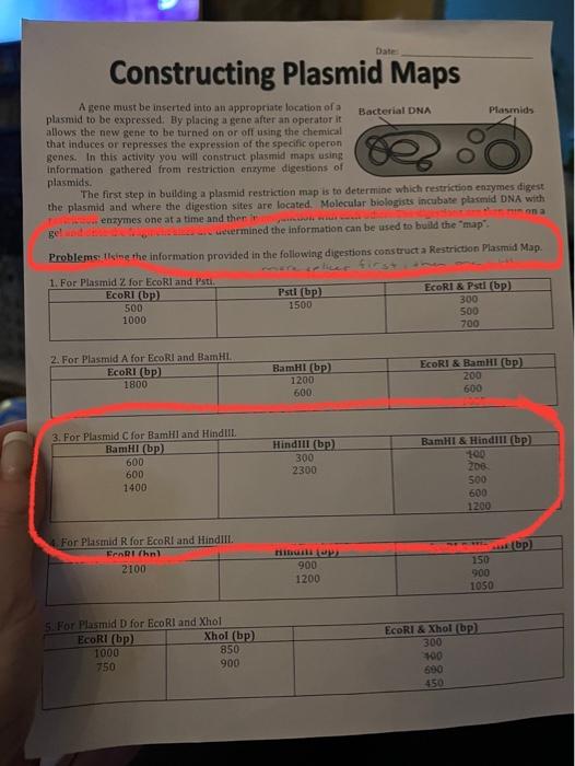 Solved Constructing Plasmid Maps | Chegg.com