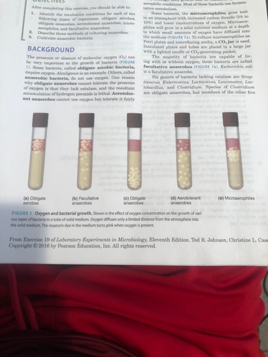 Solved UBJECTIVES After completing this exercise, you should | Chegg.com