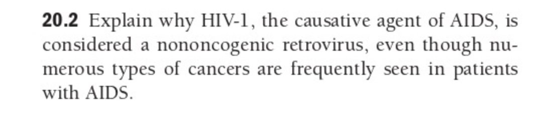 Solved 20.2 ﻿Explain why HIV-1, ﻿the causative agent of | Chegg.com