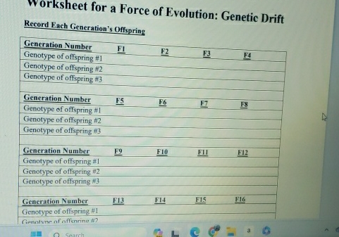 Solved worksheet for a Force of Evolution: Genetic | Chegg.com