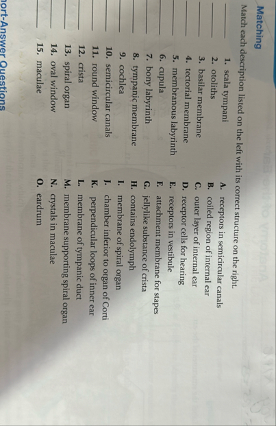 Solved MatchingMatch each description listed on the left | Chegg.com