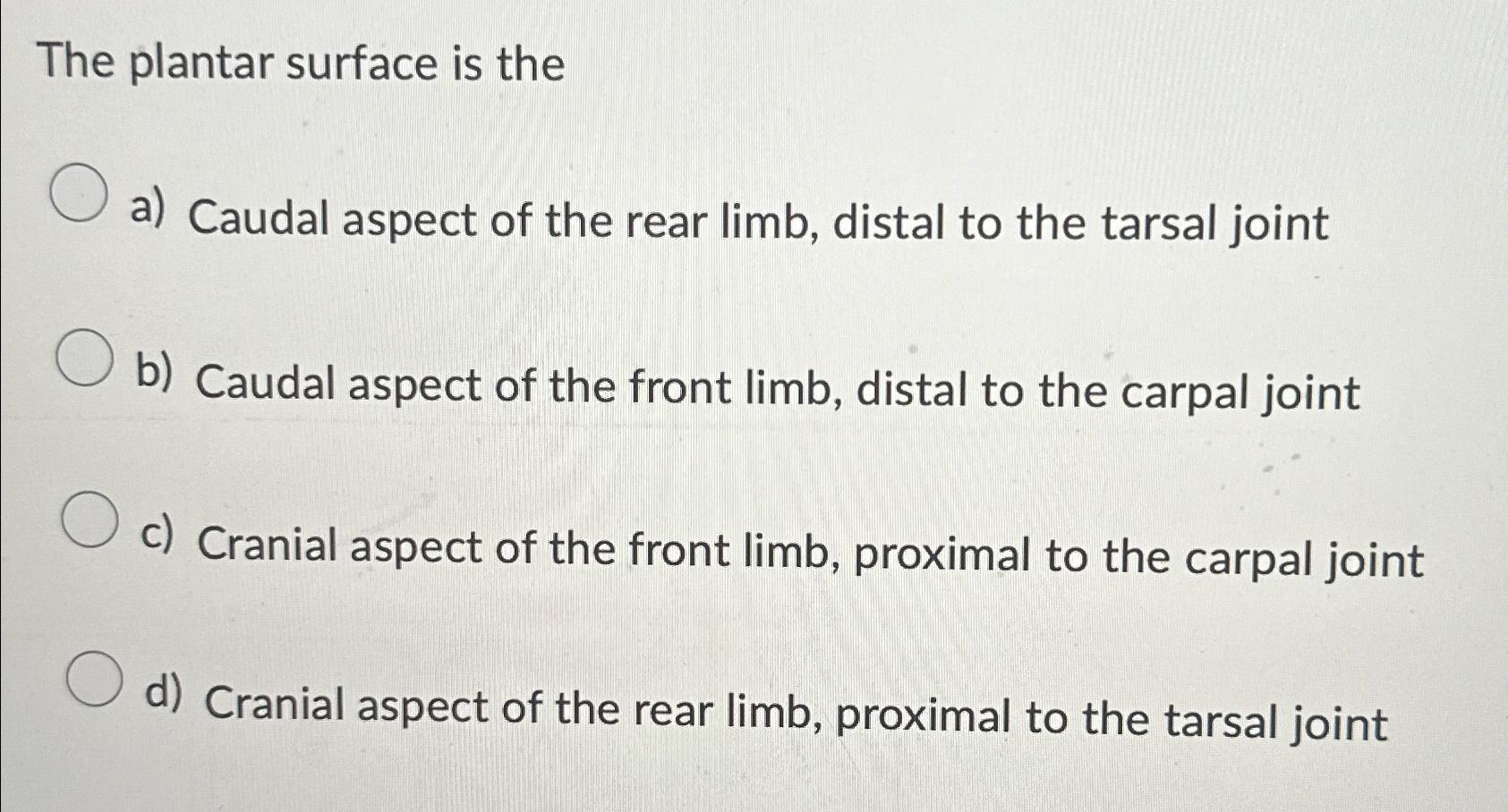 Solved The plantar surface is thea) ﻿Caudal aspect of the | Chegg.com