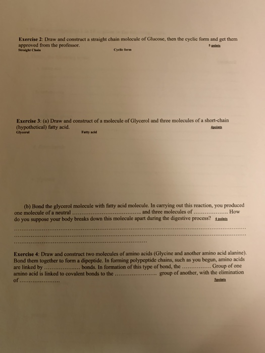 Solved MOLECULAR MODELING LAB. Total 100 Points Use the key | Chegg.com