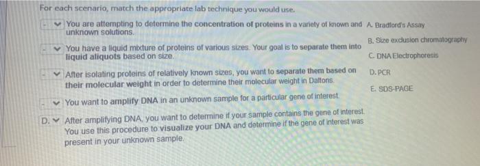 Solved Examine the image below. The smallest DNA fragments | Chegg.com