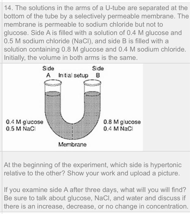 Solved 14. The solutions in the arms of a U-tube are | Chegg.com