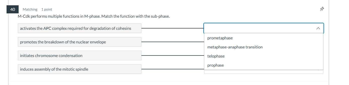 Solved M-Cdk performs multiple functions in M-phase. Match | Chegg.com
