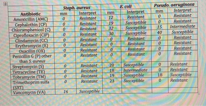 Solved mm Antibiotic Amoxicillin (AMC) Cephalothin (CF) | Chegg.com