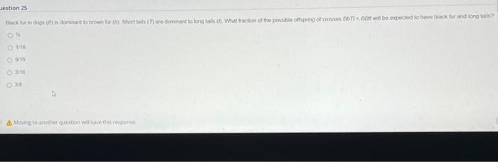 Solved yestion 25 1/16Queation 25 tine 916 viย ave | Chegg.com