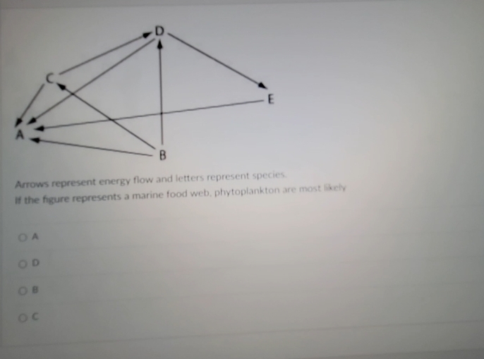 Solved Arrows represent energy flow and letters represent | Chegg.com