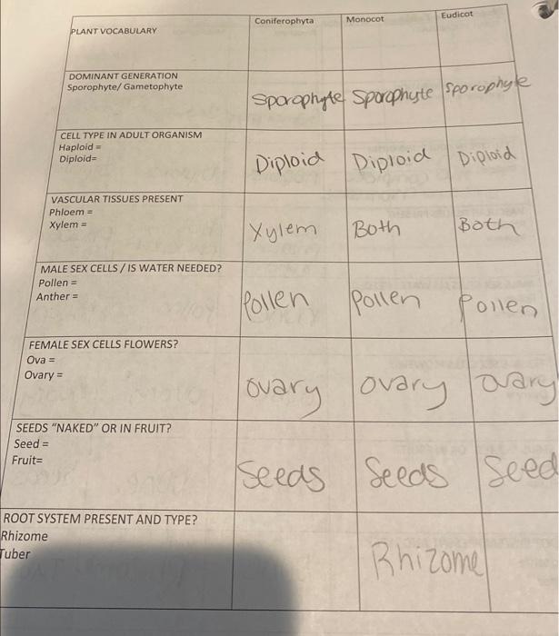 Solved Plant Traits Table Eudicot | Chegg.com