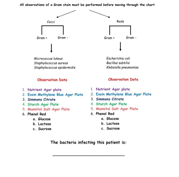 Solved based on support documentation what type of bacteria | Chegg.com
