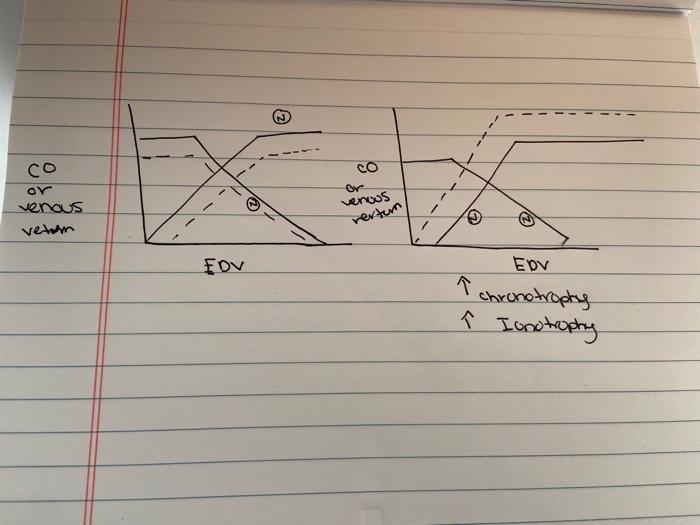 Solved THIS IS• Two Vascular - CO graphs of our own creation | Chegg.com