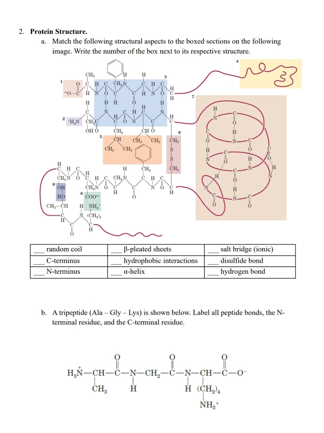 Solved Protein Structure.a. ﻿Match the following structural | Chegg.com