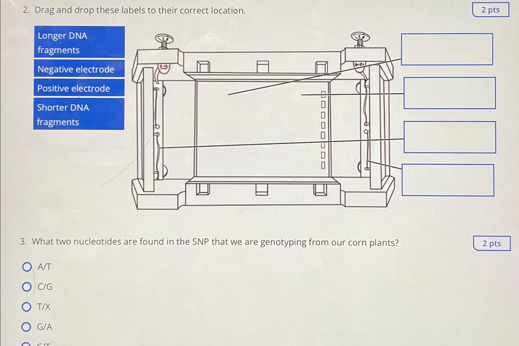 Solved Drag and drop these labels to their correct location. | Chegg.com