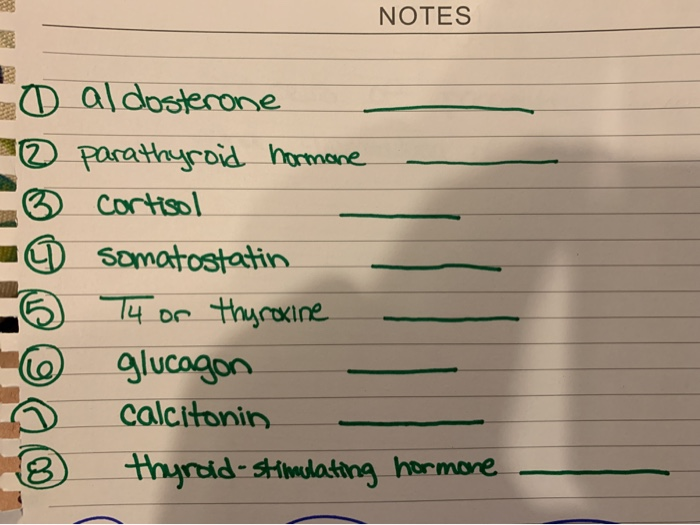 Solved NOTES O aldosterone ② parathyroid hormone Cortisol ① | Chegg.com