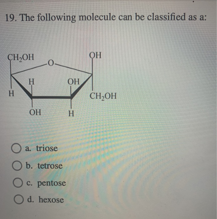Solved 19. The following molecule can be classified as a: | Chegg.com